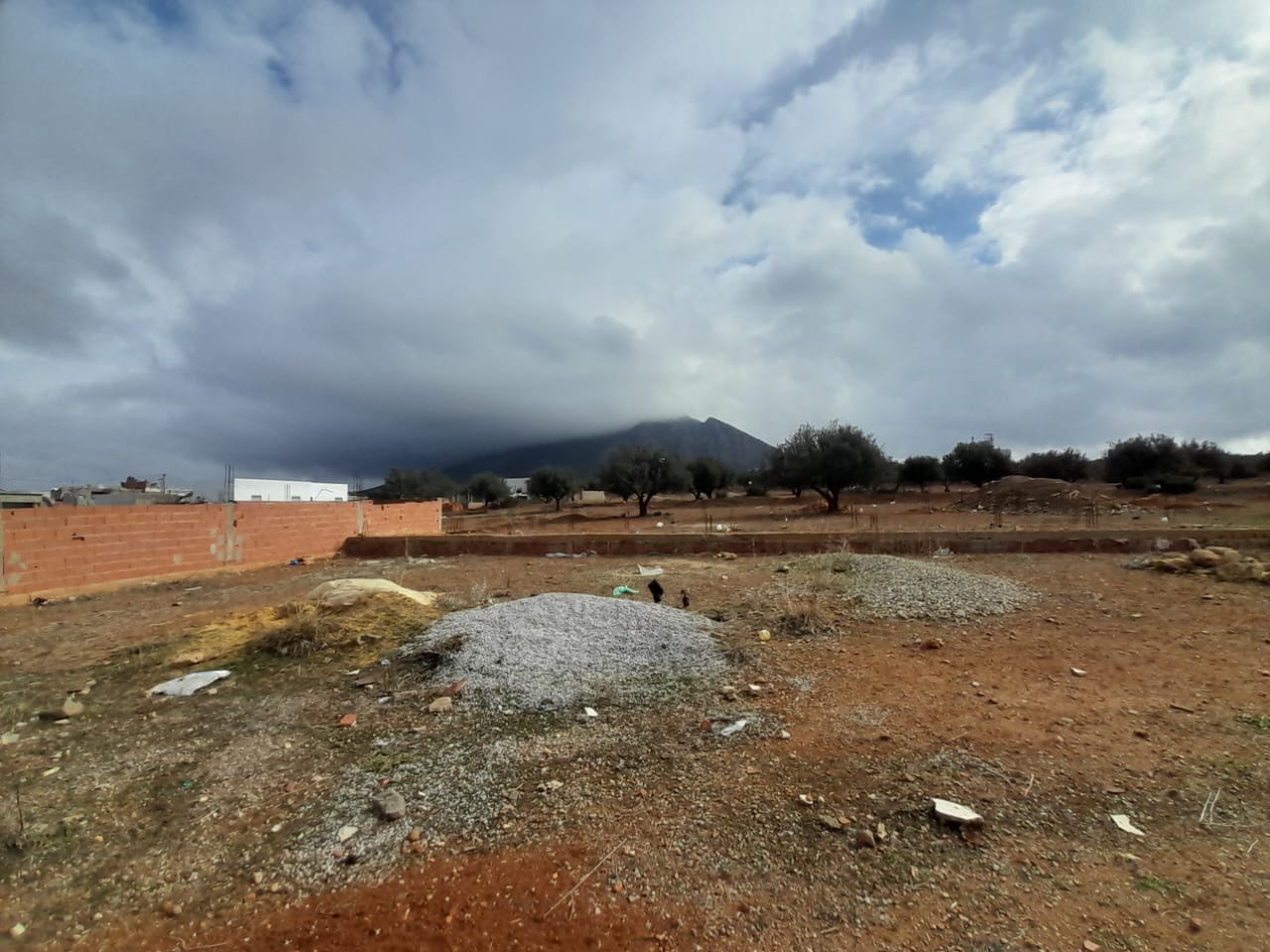Domaines De Letat Récupération Denviron 46 Hectares à Ben Arous