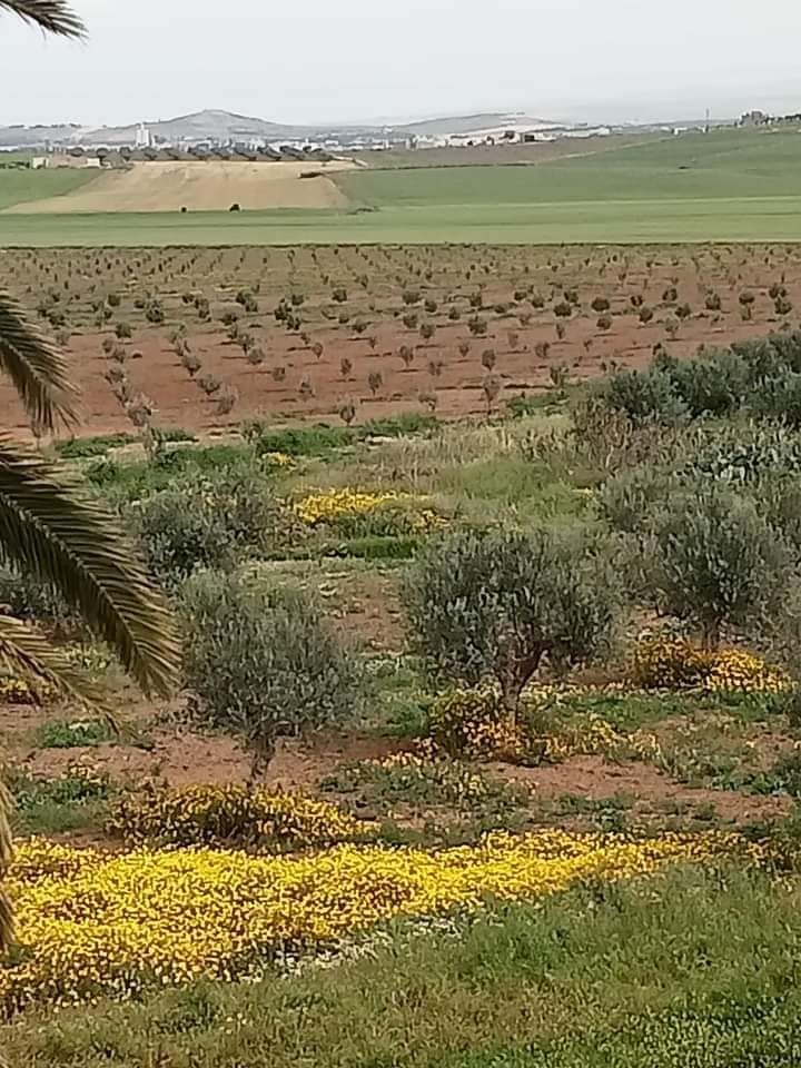 Domaines De Letat Récupération Dune Ferme Domaniale Agricole Dune